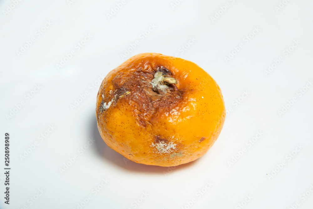 Tangerines with mold. Aspergillus. Penicillium. Ascomycetes. Spoiled ...
