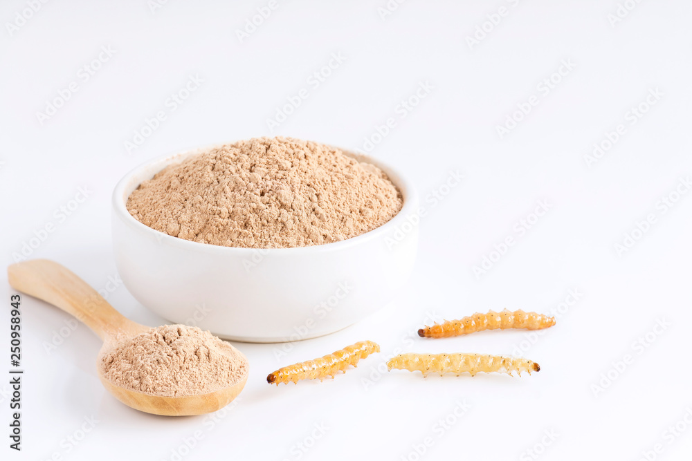 Bamboo worm powder. Bamboo Caterpillar flour for Insects eating as food ...