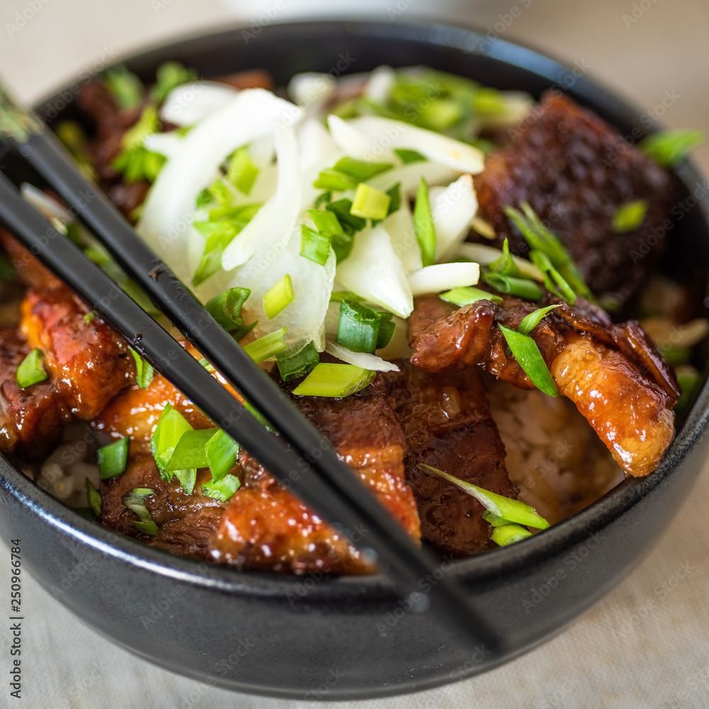 Rice bowl and fried pork belly, close-up - a traditional asian dish ...