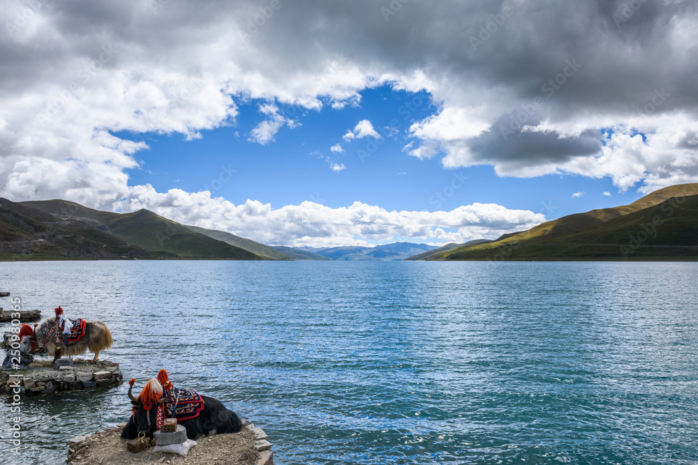 View of Yamdrok Lake (also known as Yamdrok Yumtso or Yamzho Yumco), it is a freshwater lake ...
