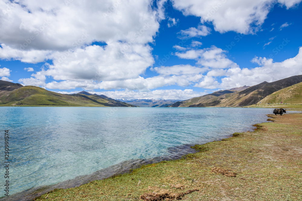 View of Yamdrok Lake (also known as Yamdrok Yumtso or Yamzho Yumco), it ...