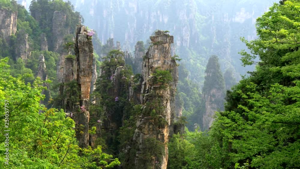 Vertical cliffs in Avatar mountains in Wulingyuan, Zhangjiajie, China ...