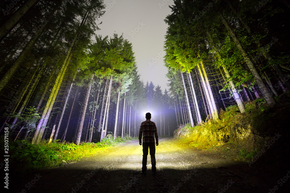 Back view of man with head flashlight standing on forest ground road ...