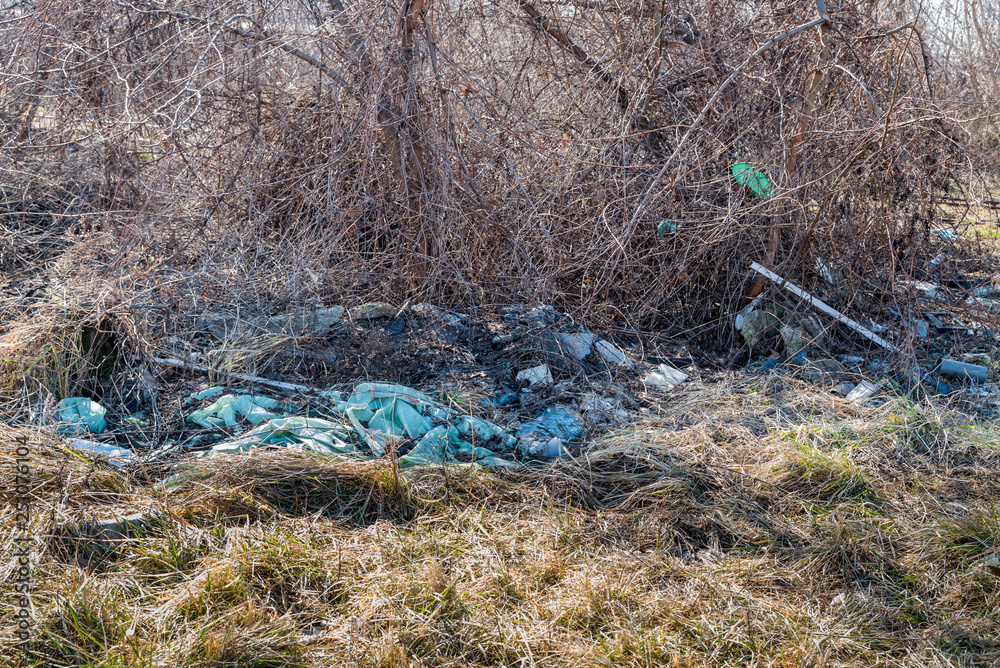 Environment pollution, Garbage dump on the grass near the forest ...