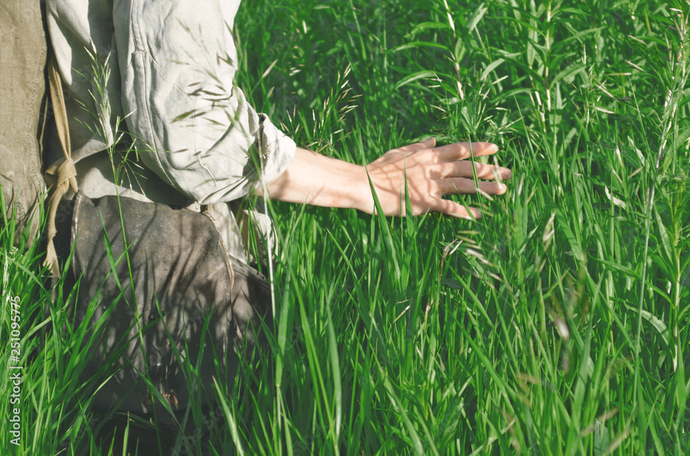 soldier is on the field touching the hand of tall grass Stock Photo ...