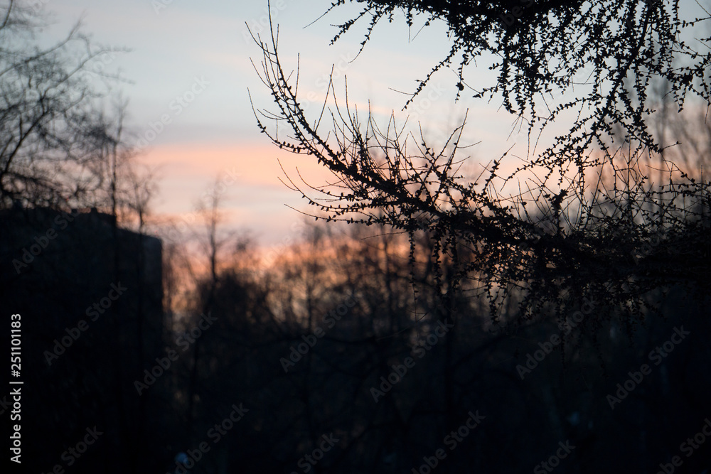 Sad Evening Wallpaper