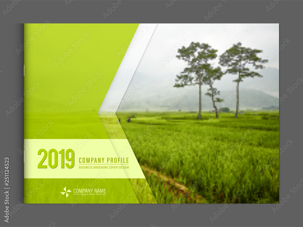 Cover design for annual report business catalog company profile ...