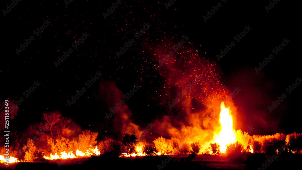 bushfire in grassland with trees in australia Stock Photo | Adobe Stock