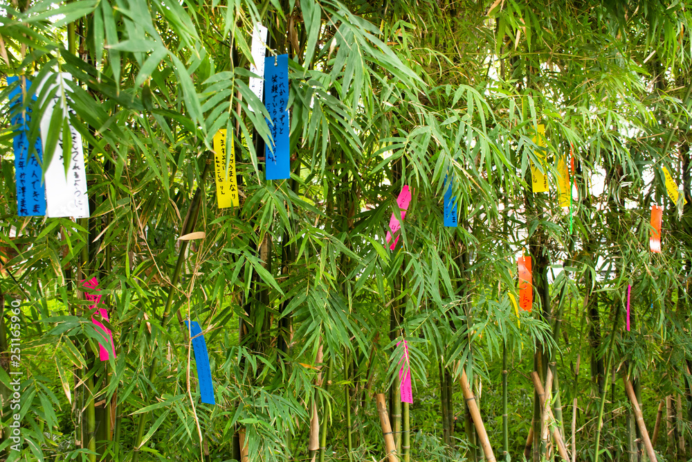 Travelers people join and writing wishes on paper and hang on bamboo ...