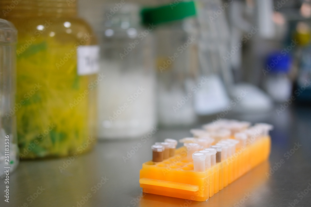 DNA sample in PCR tube microplate Stock Photo | Adobe Stock