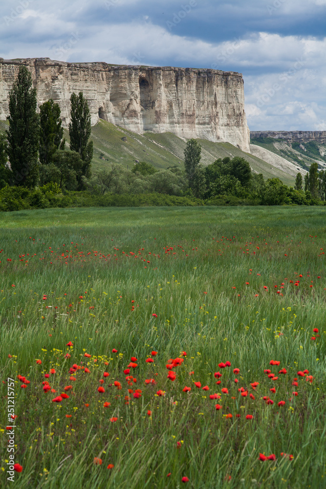 plateau above the sheer white cliffs above the field of tall grass and ...