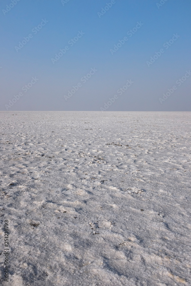 Desert Salt