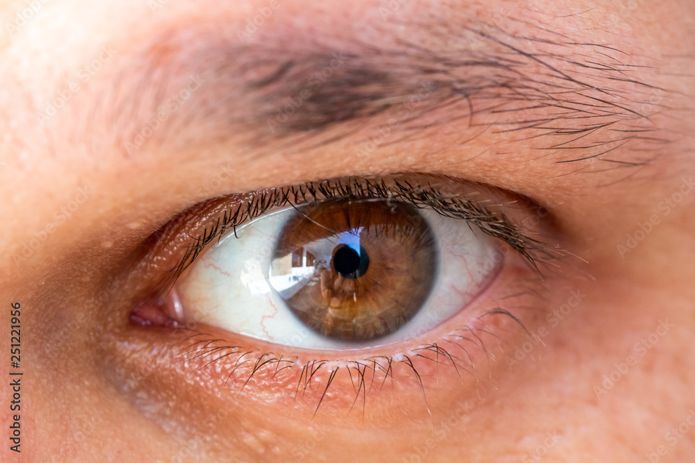 Natural Male Eyebrows