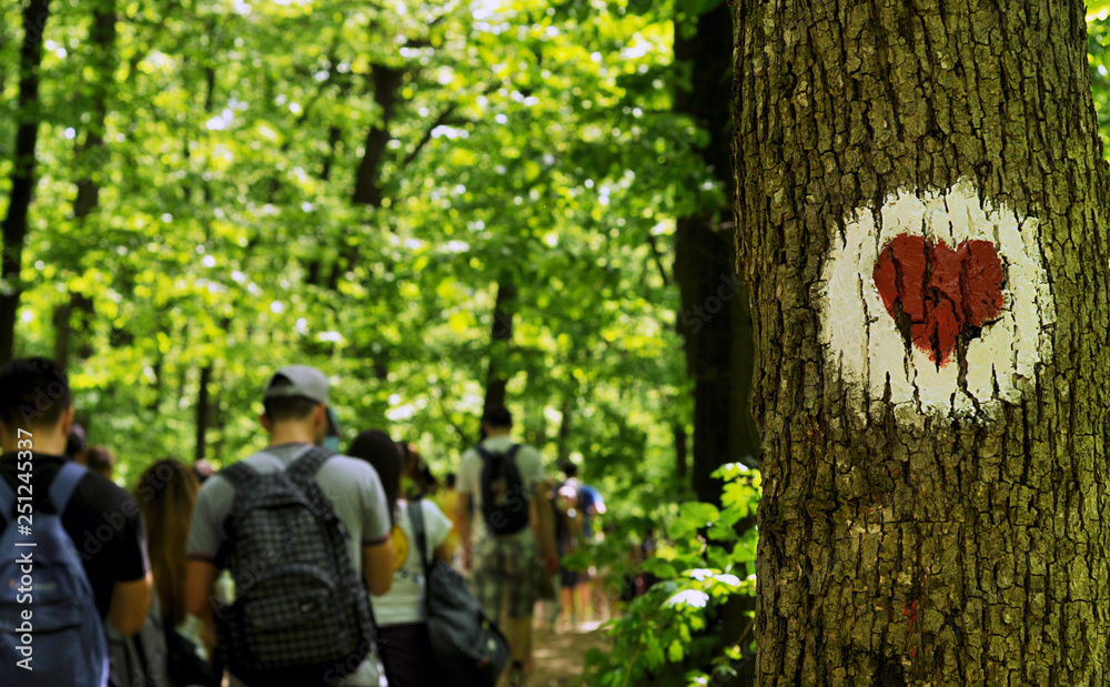 tree, nature, resources, climate, people, green, environmental, wood ...
