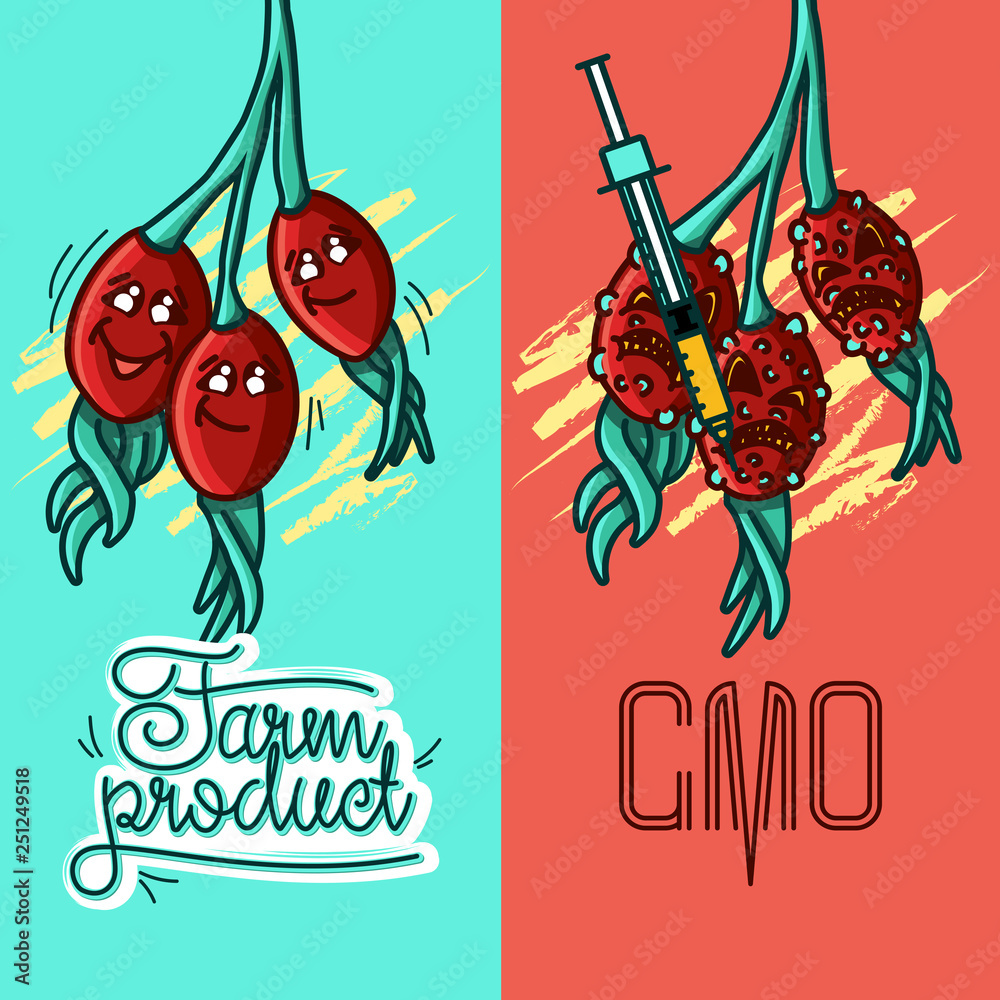 Set of vector illustrations of a farm product vs GMO syringe. healthy ...