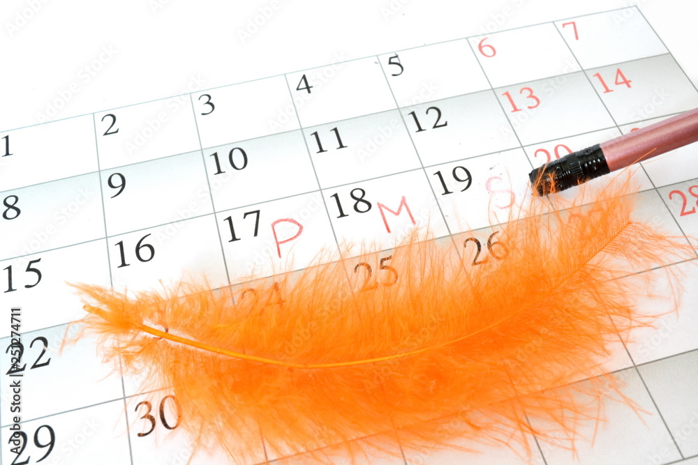 Rubber eraser on the tip of the pencil erase from sheet monthly ...