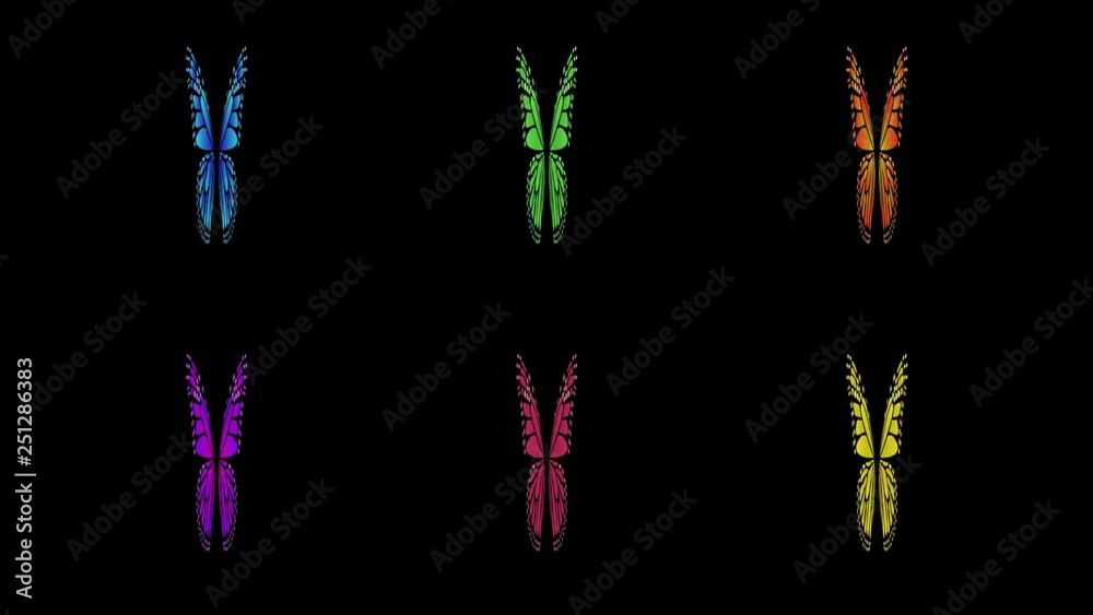 Different View Types Colored Butterfly Flapping Wings Animation ...