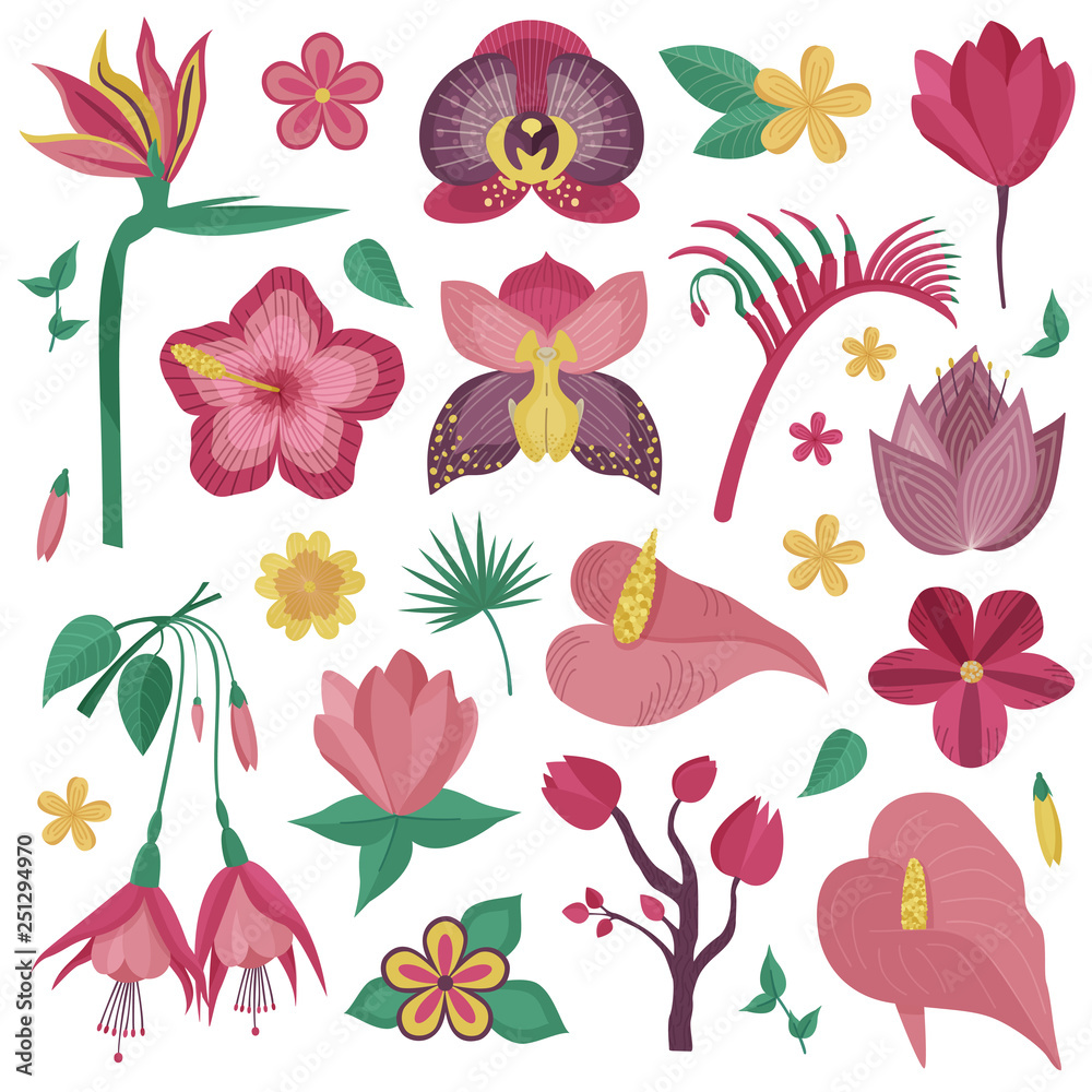 Tropical rainforest flower set. Cartoon exotic flowers and floral ...