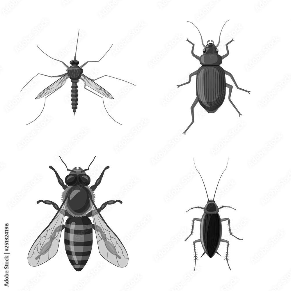 Vector illustration of insect and fly logo. Collection of insect and ...