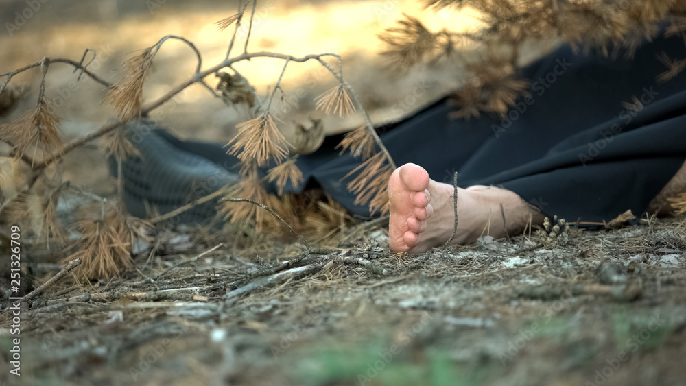 Dead man lying on grass in forest, contract killing, murderer victim ...
