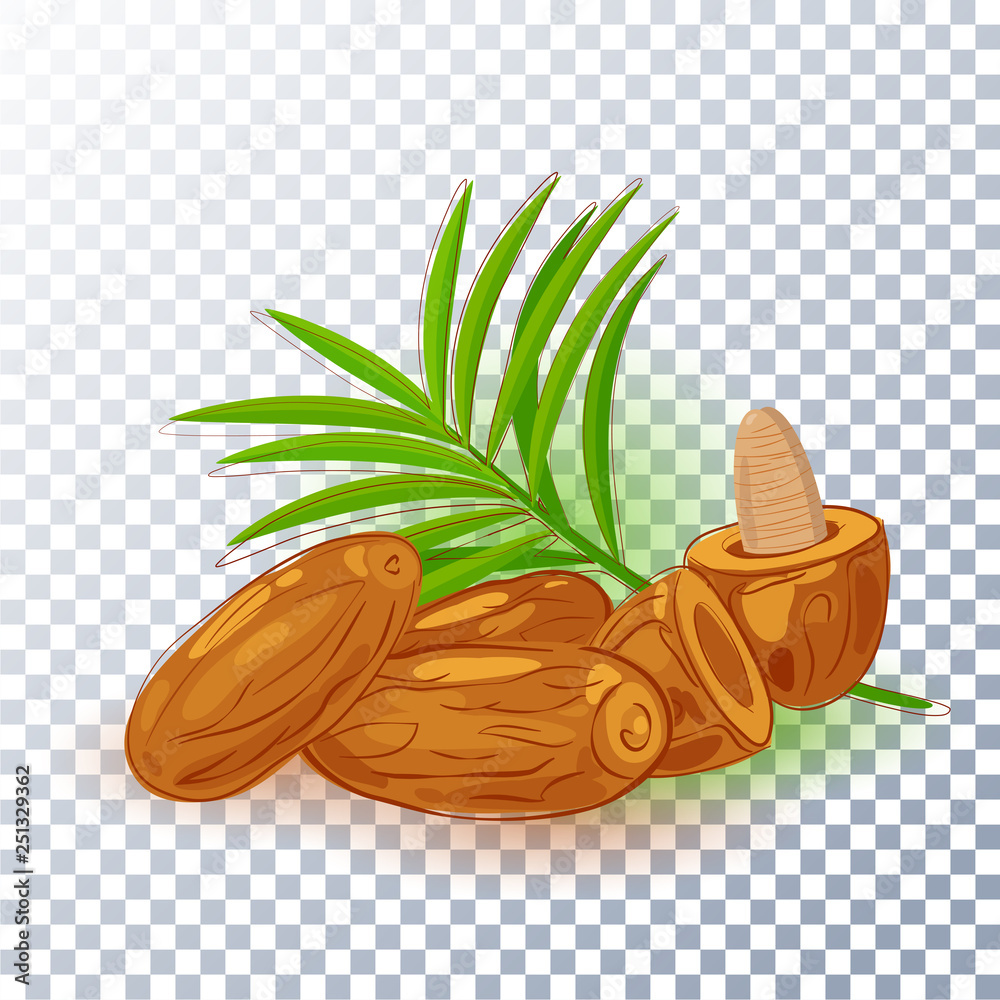 Dates logo brand design. Dates and palm leaves on a transparent ...