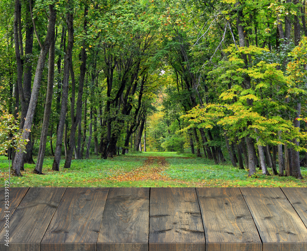 Vintage boards abd view to path in green forest. Table top with summer ...