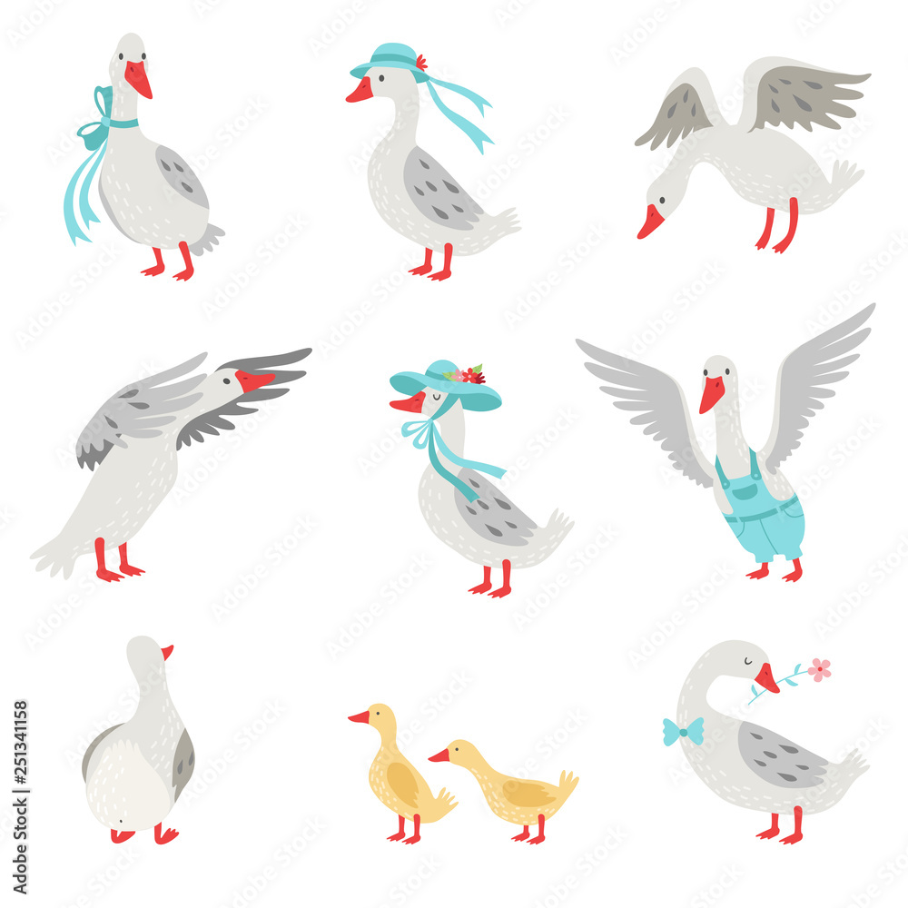 Collection of Geese and Goslings in Different Situations, White Birds ...