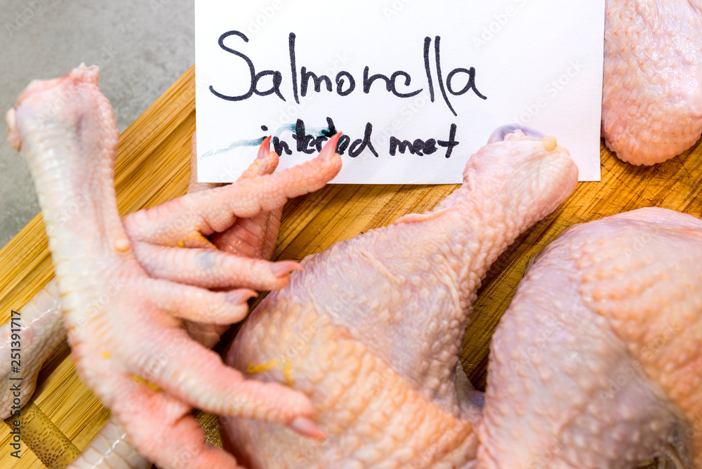Chicken meat infected by salmonella bacteria Stock Photo | Adobe Stock
