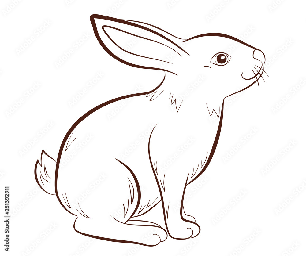 Rabbit in outline style isolated on white background, vector ...