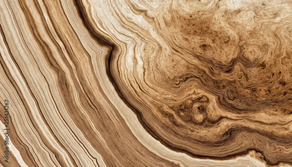 Pattern of rings of a tree Stock Illustration | Adobe Stock