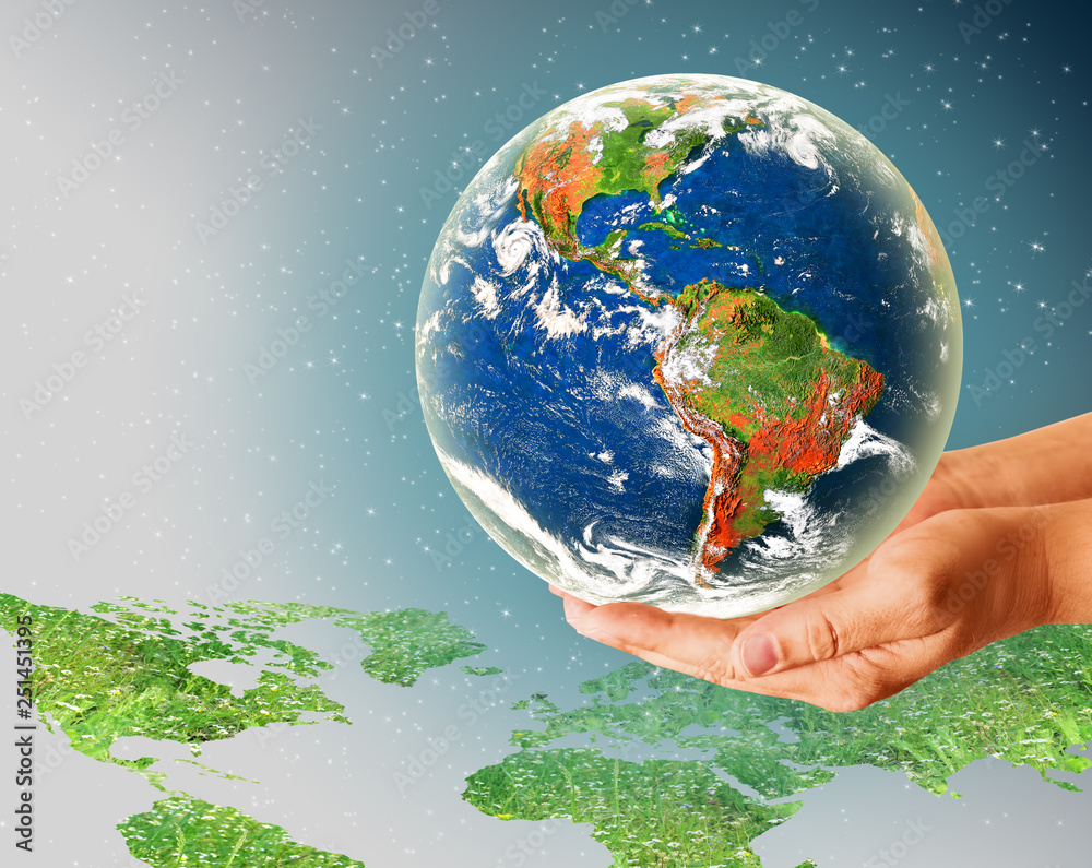 Ecological concept of the environment with the cultivation of trees on ...