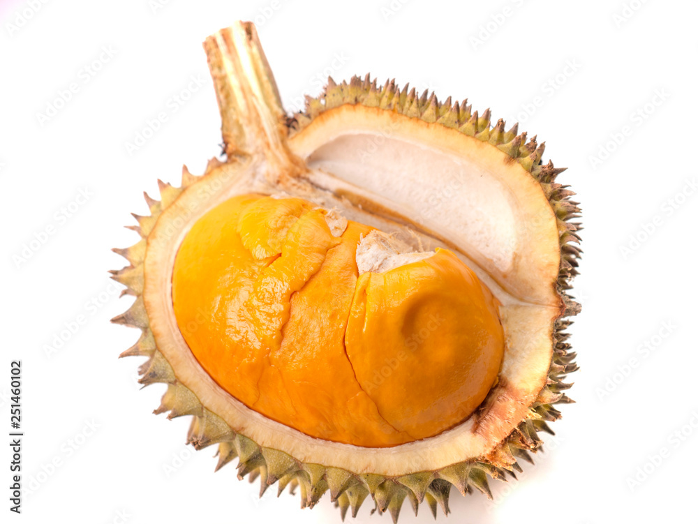 Durian Lai, Durio Kutejensis, Yellow Durian of Borneo Kalimantan Stock ...