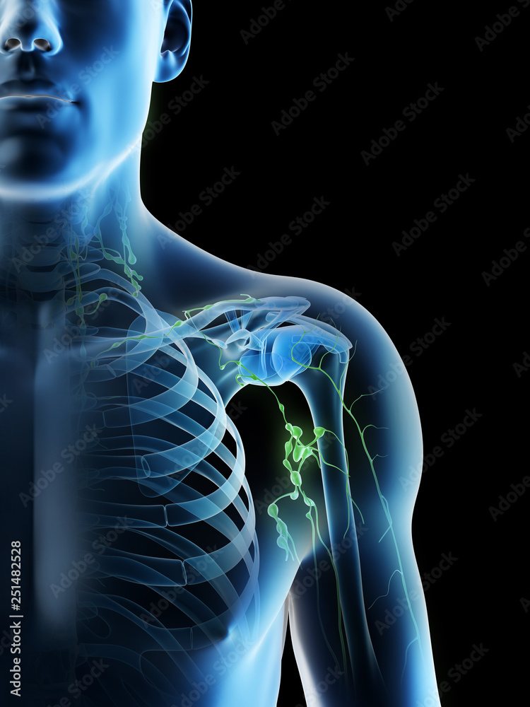 Back Lymph Nodes