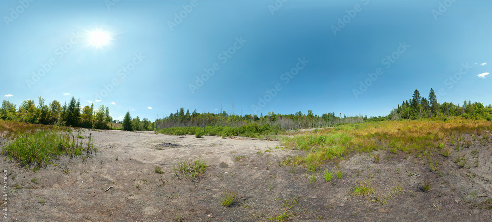HDRI. Wild landscape in Canada. Forest trees in summer with a desert ...