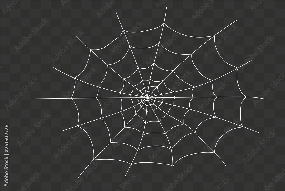 Cobweb isolated on white Stock Vector | Adobe Stock