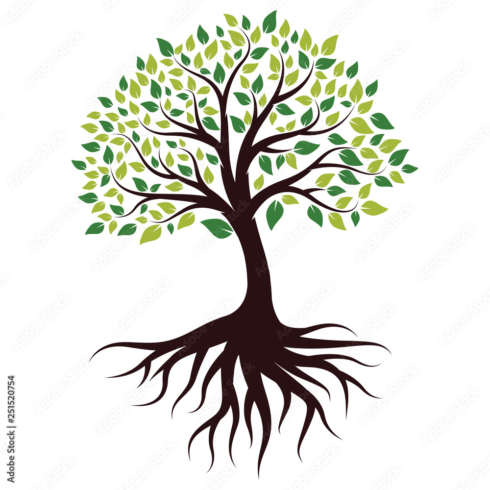 Vector Illustration for Green Tree with Roots Stock Vector | Adobe Stock