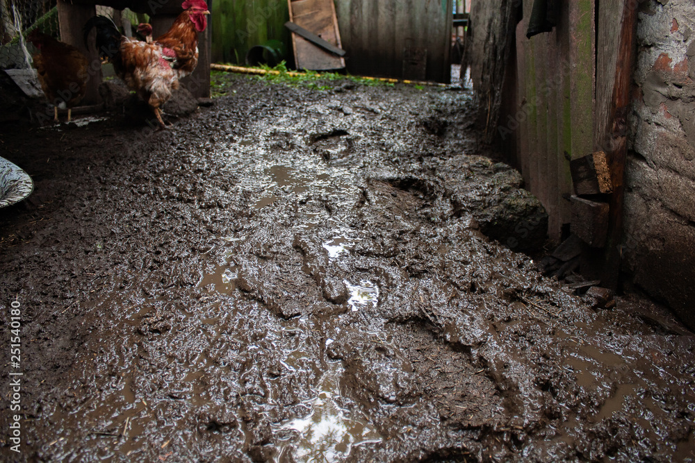 Footprints in deep mud in a rural yard Stock Photo | Adobe Stock