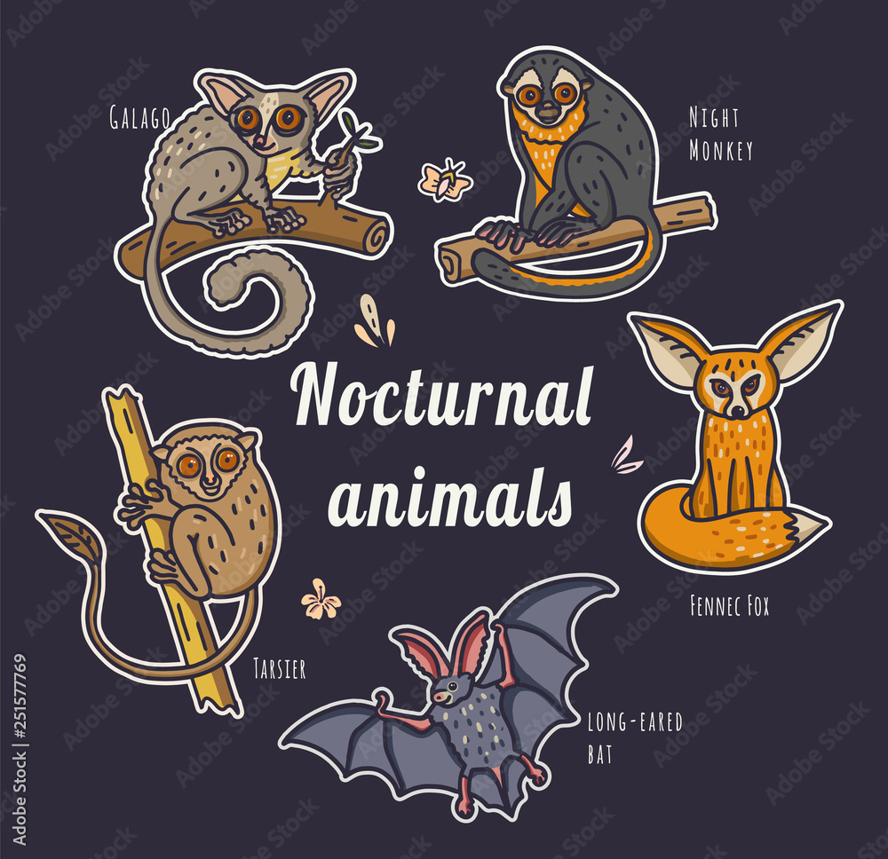 Nocturnal creatures set in doodle cartoon style on dark background ...