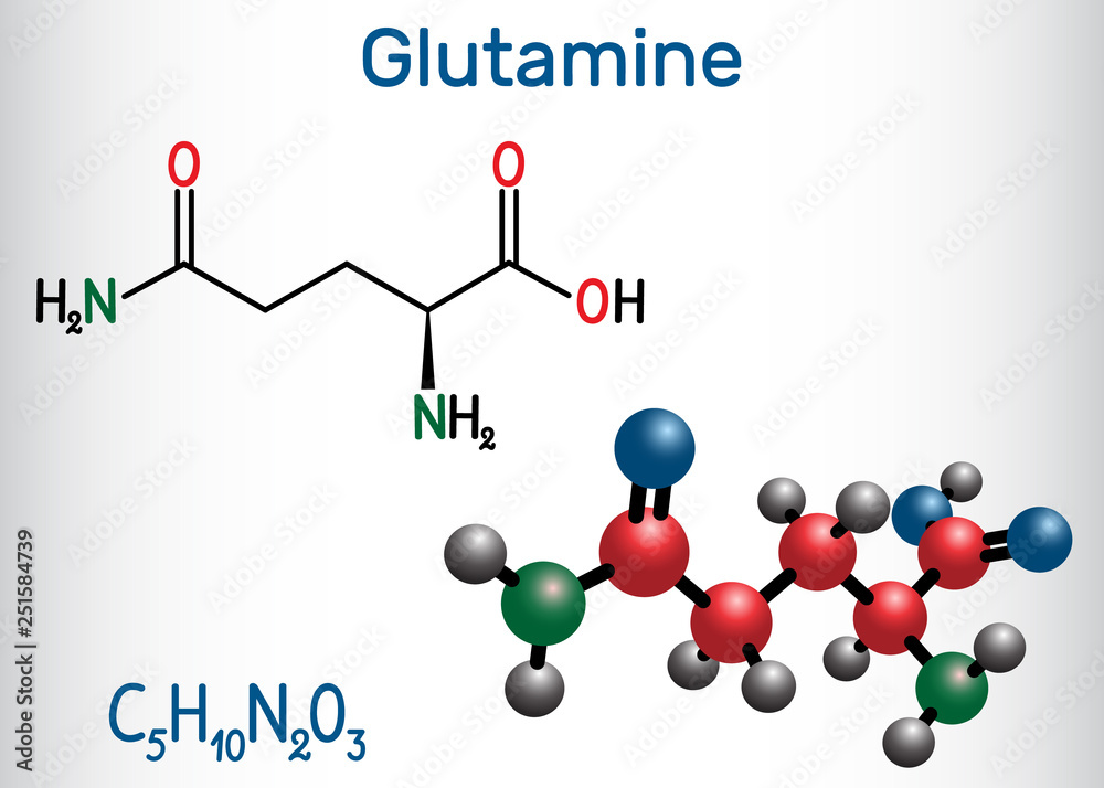 Glutamine (Gln , Q) amino acid molecule. Structural chemical formula ...