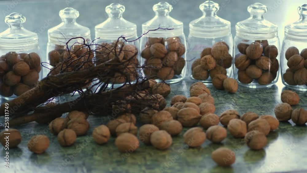 close-up, walnut stock, walnut seedlings with root system. stored in ...