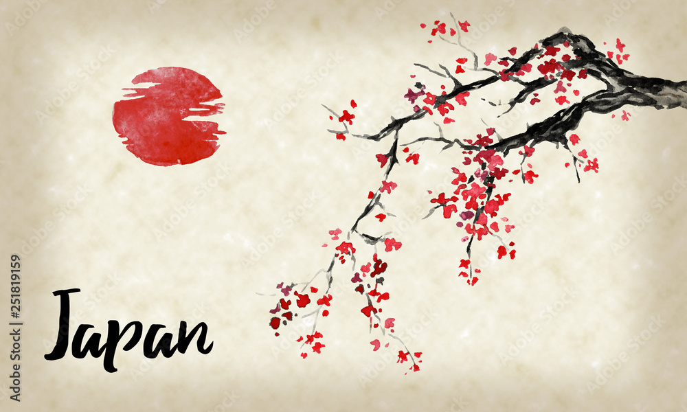 Japan traditional sumi-e painting. Sakura, cherry blossom. Indian ink ...