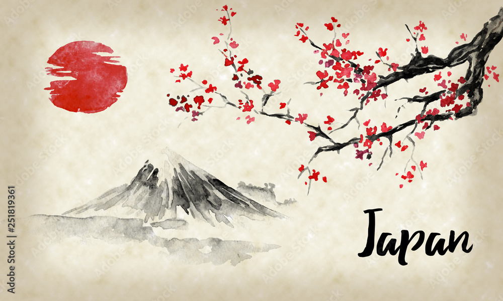 Japan traditional sumi-e painting. Sakura, cherry blossom. Fuji ...