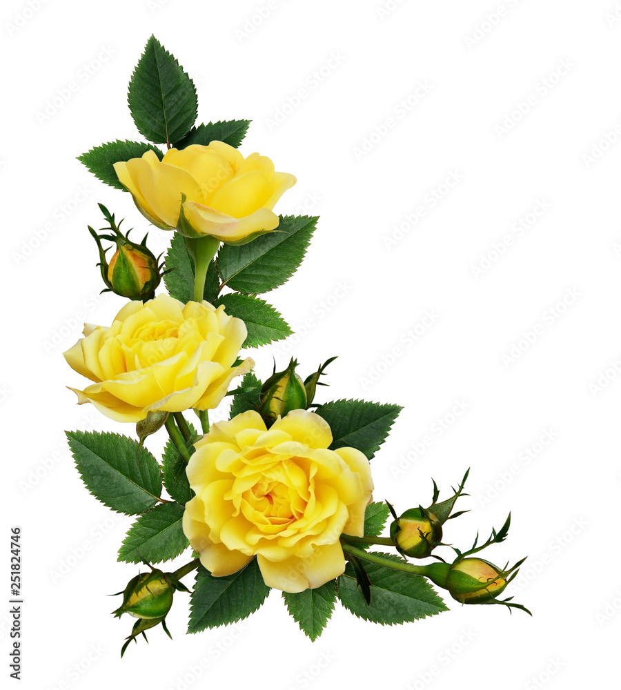 Yellow Rose Border Clip Art