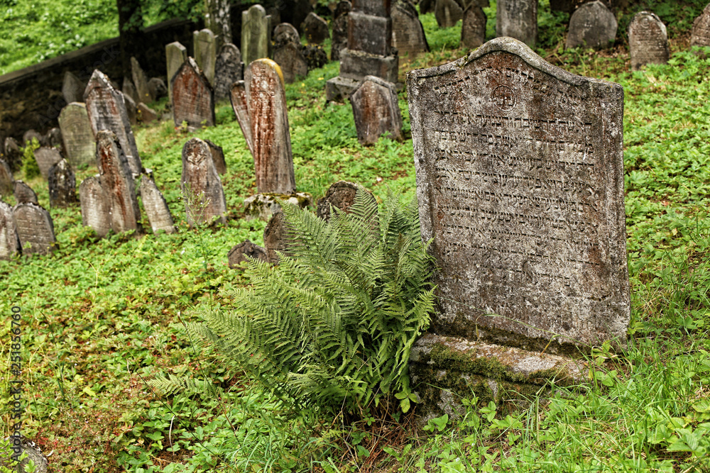 Old Jewish cemetery tombstone with the fern Stock Photo | Adobe Stock