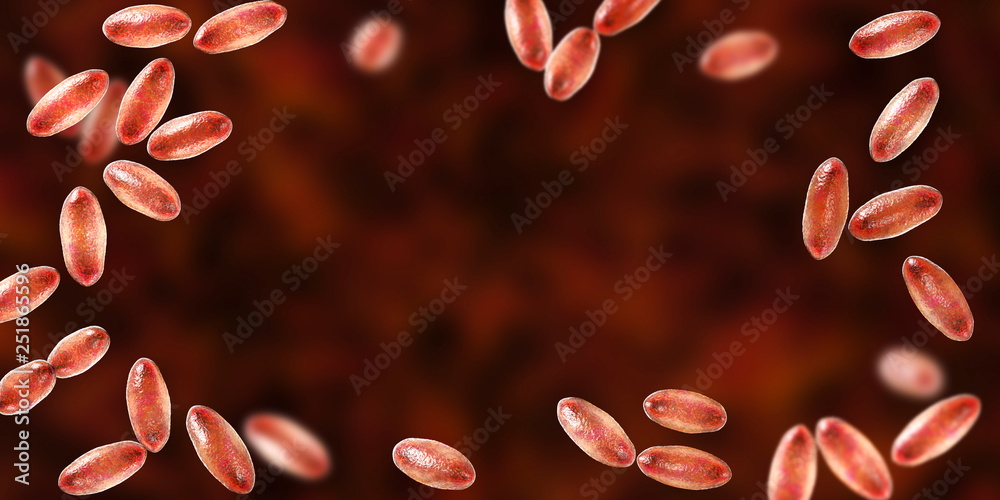 Plague bacteria Yersinia pestis, 3D illustration. Gram-negative ...