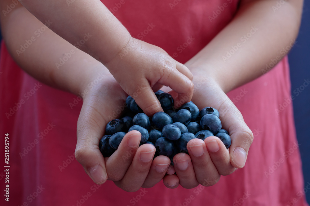 Blueberries in the hands of young girls and a baby's arm grabbing them ...