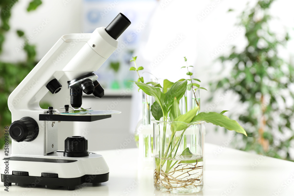Beaker with plant and microscope on table in laboratory. Biological ...
