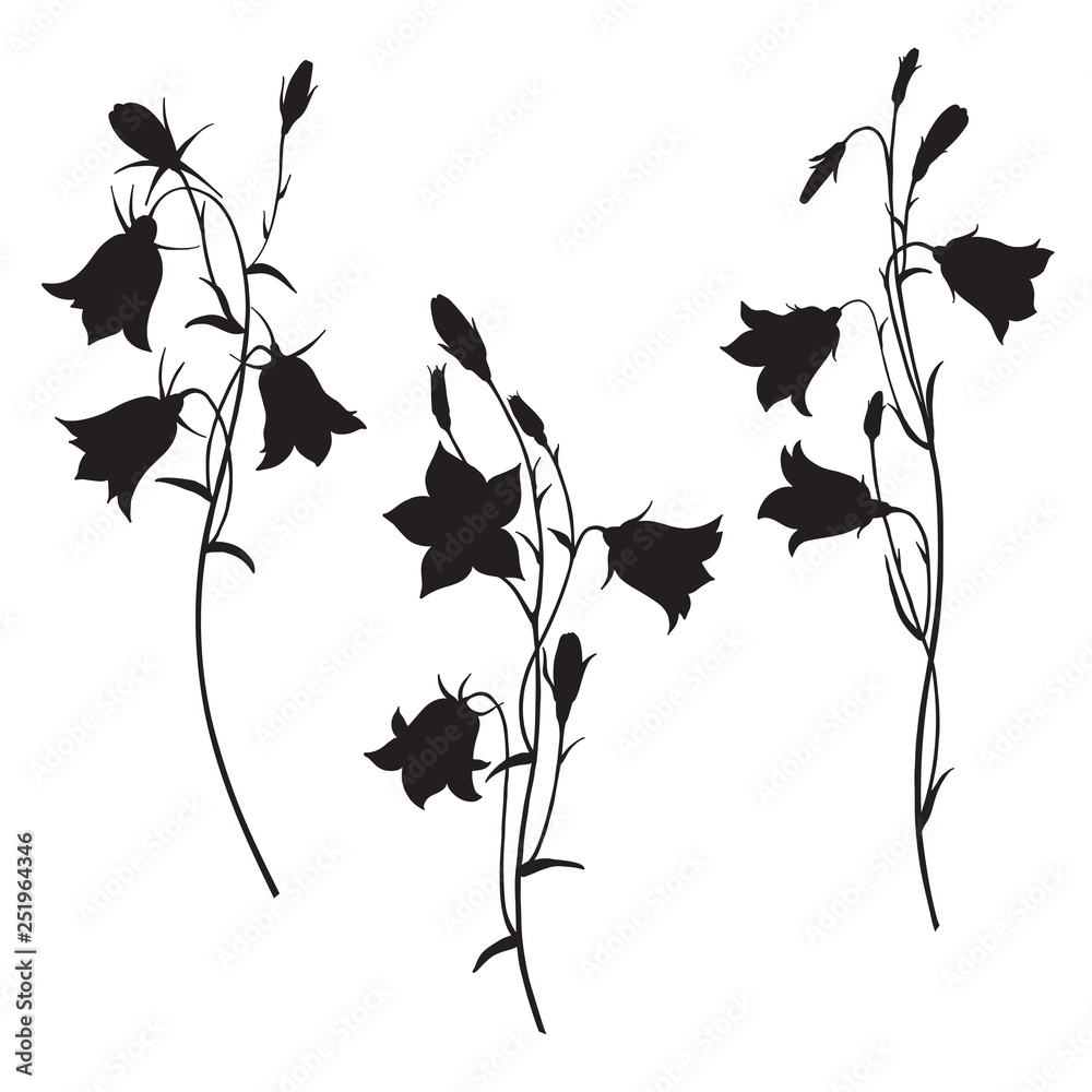 Bluebell flowers. Sketch. Hand drawn silhouette vector illustration ...