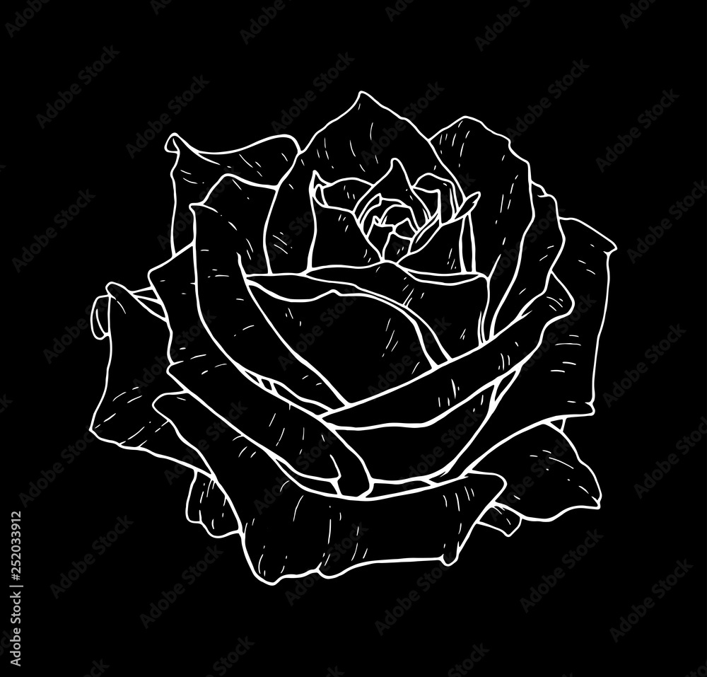 Black And White Rose Black Background