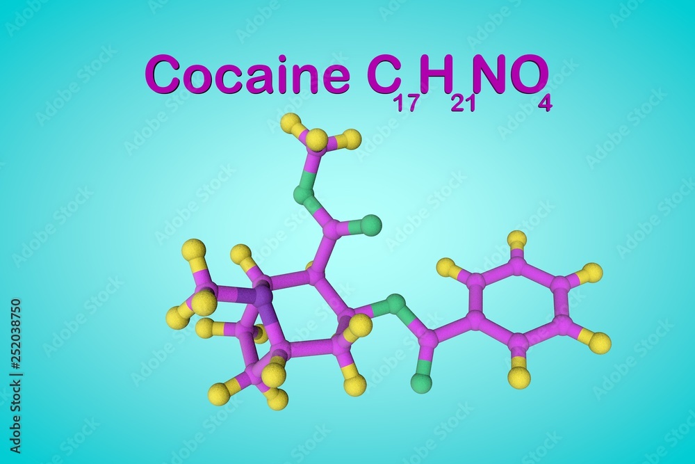 Molecular model of cocaine. Atoms are represented as spheres with color ...